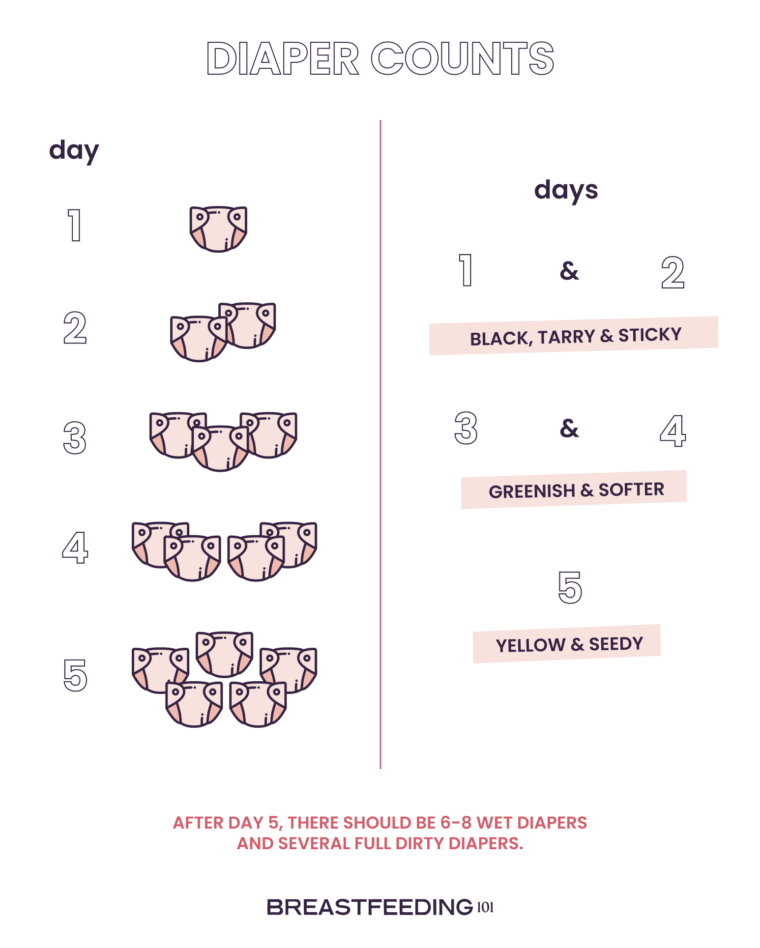 1st Week - Breastfeeding 101
